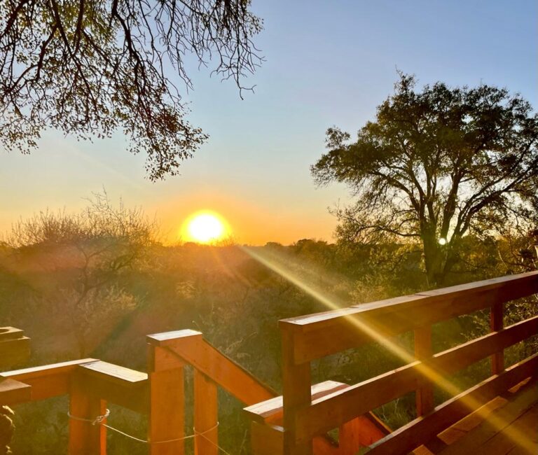 Kartula Marula Bush Retreat - per person - Experience Africa Hunting ...