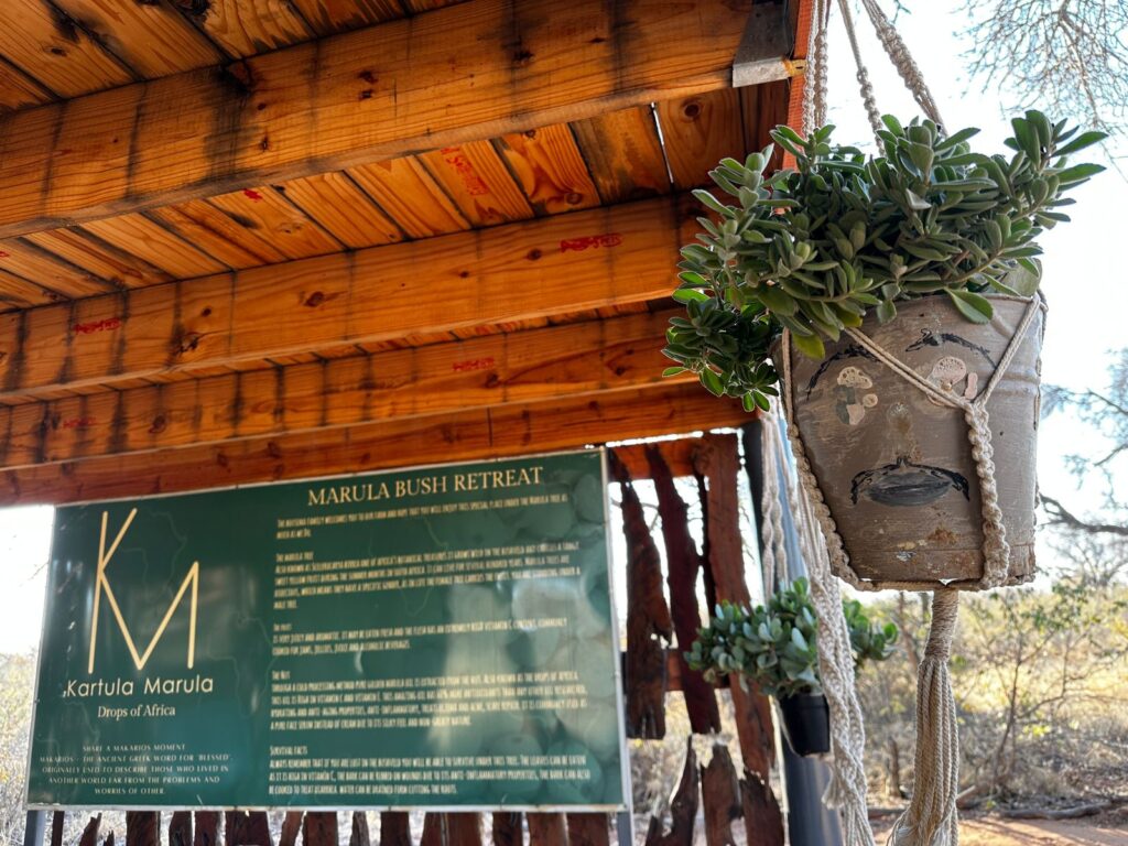 Kartula Marula Bush Retreat - per person - Experience Africa Hunting ...